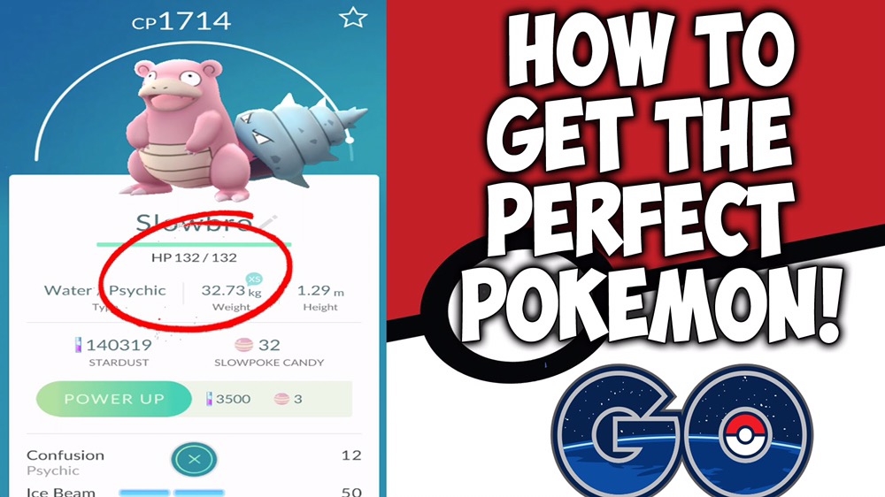 How to evaluate your Pokemon’s Individual Value – Ipohzai 怡保仔
